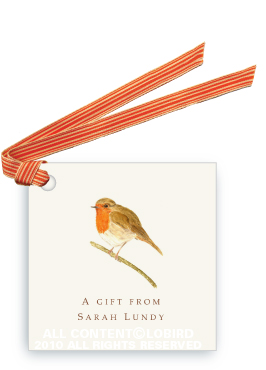 personalized illustrated gift tags for adults by Laurie Rohrbach for Lobird